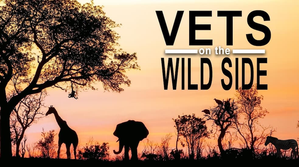 Watch Vets on the Wild Side Streaming Online | Tubi Free TV