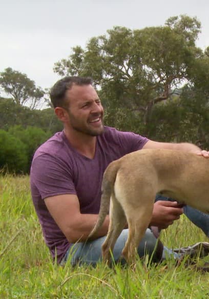 Watch Seven Year Switch Australia S02:E03 - Common Ground - Free TV ...