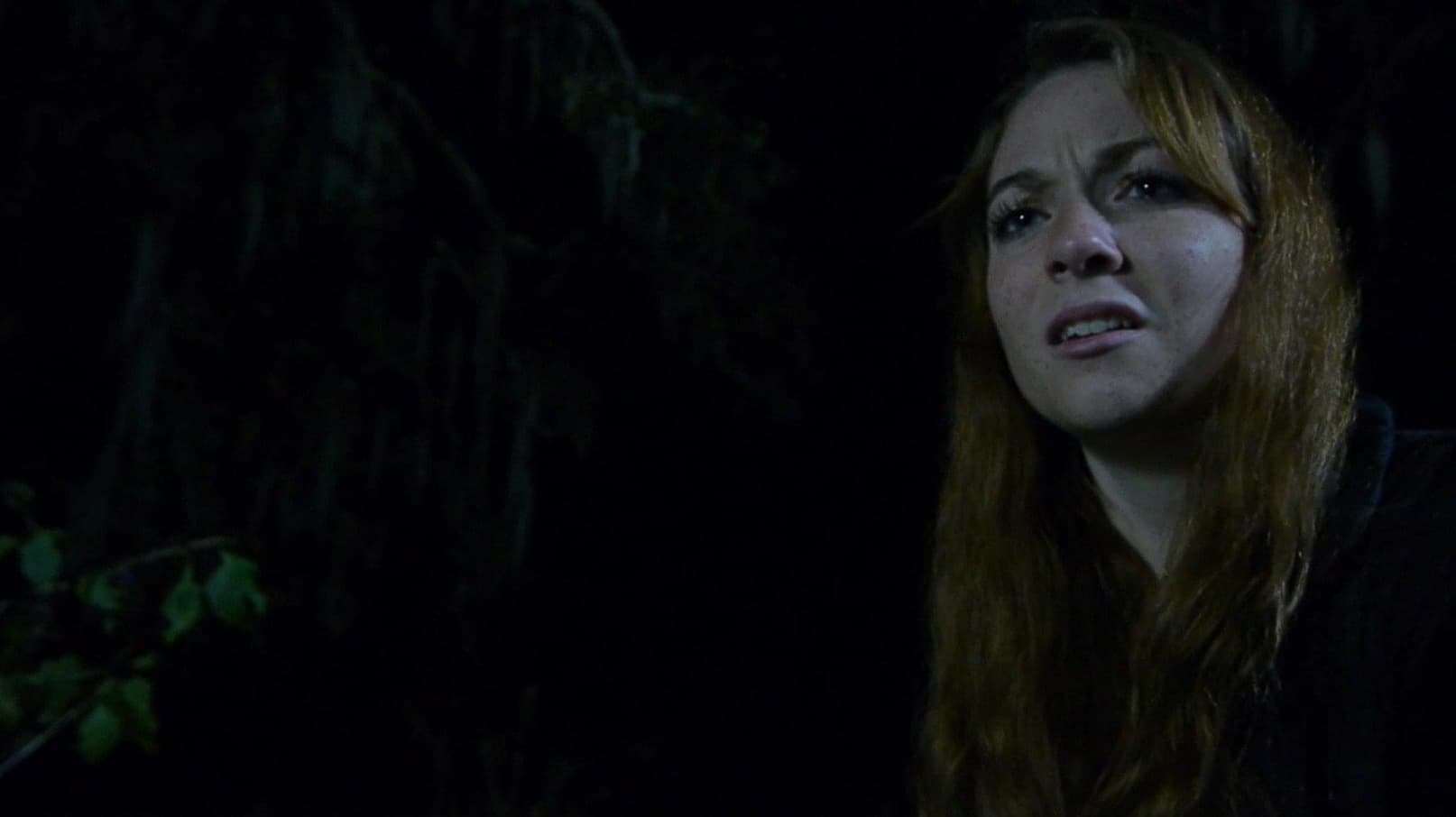 Watch The Poltergeist of Borley Forest (2014) - Free Movies | Tubi