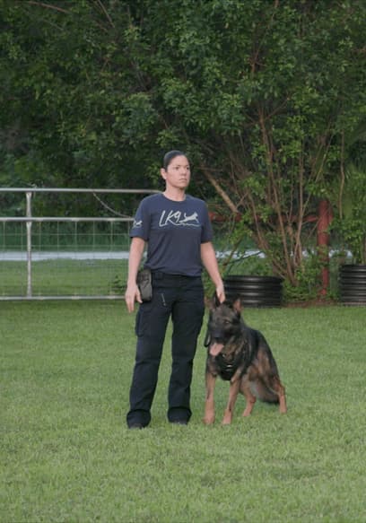 Watch To the Rescue S01:E09 - Man's Best Friend - Free TV Shows | Tubi