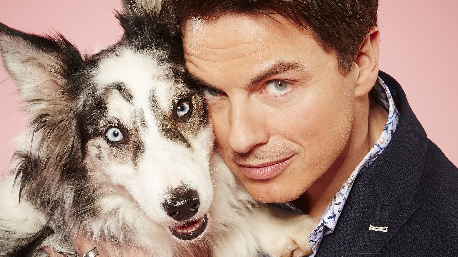 Watch Superstar Dogs S01:E04 - Episode 4 - Free TV Shows | Tubi