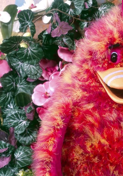 Watch Fimbles S01:E90 - Baby's Rattle - Free TV Shows | Tubi