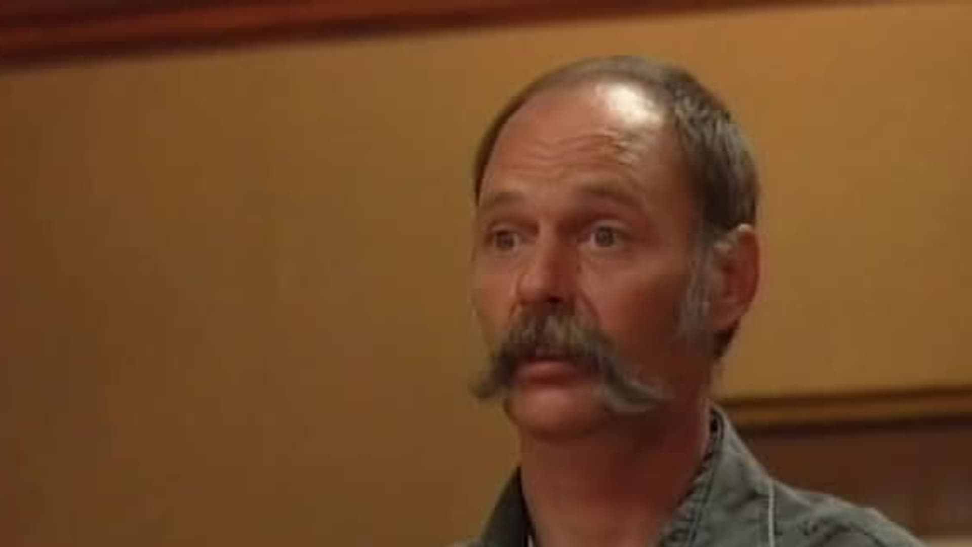 Watch Judge Wapner’s Animal Court - Free TV Shows | Tubi