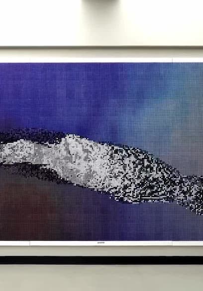 Watch Art TV S01:E01 - Andrew Zolty: To Think Big - Free TV Shows | Tubi