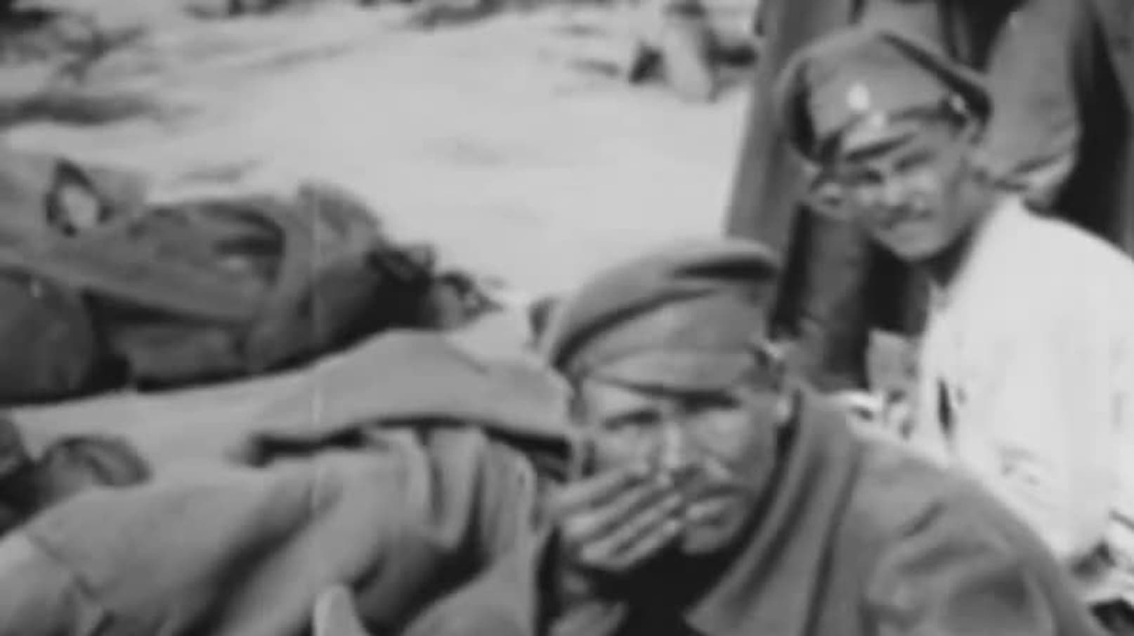 Watch Horrors of WW1: Trench Warfare (2023) - Free Movies | Tubi