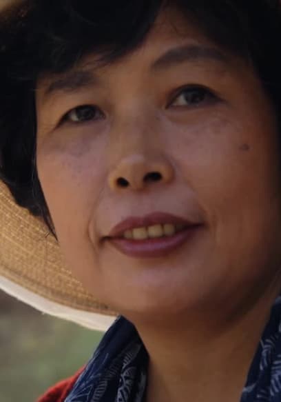 Watch China: The Land of Colors S01:E04 - Yellow - Free TV Shows | Tubi