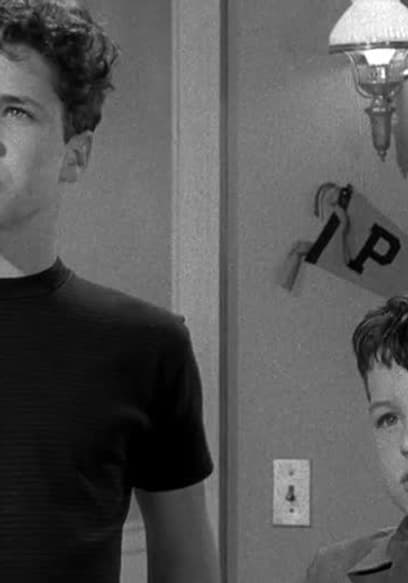 Watch Leave It to Beaver S01:E22 - The Perfect Father - Free TV Shows ...