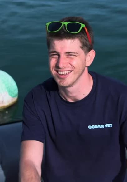 Watch Ocean Vet S01:E09 - Humpback Whale - Free TV Shows | Tubi