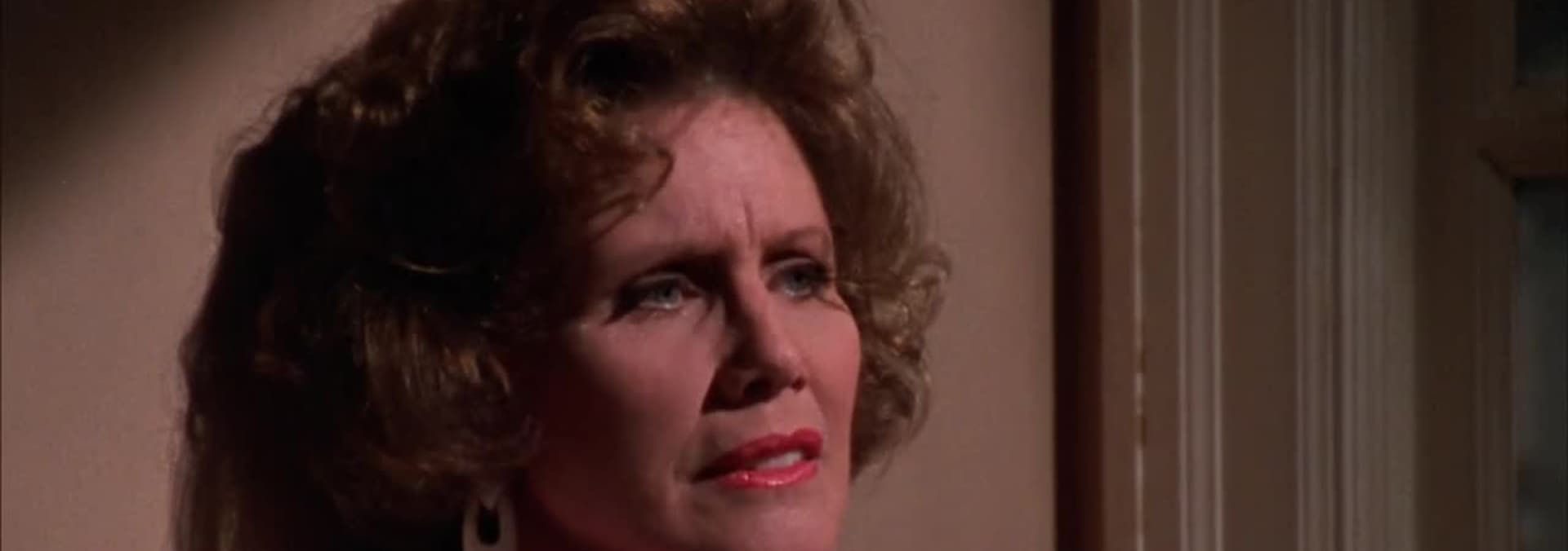 Watch In the Heat of the Night S06:E16 - The Leftover Man: Part 2 ...