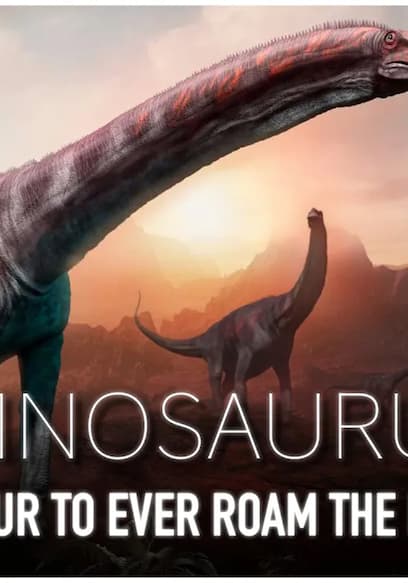Watch Dinosaur Discovery S05:E01 - Argentinosaurus: One of the LARGEST ...