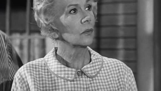 Watch Petticoat Junction - Free TV Shows | Tubi