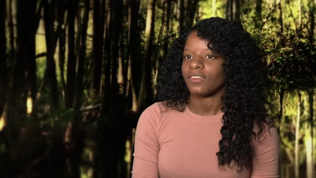 Watch Swamp Murders S05:E10 - Double-Crossed - Free TV Shows | Tubi