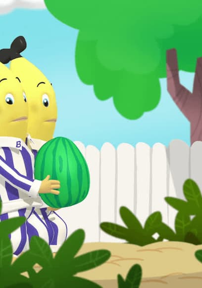 Watch Bananas in Pyjamas Animated Series S02:E17 - The Ping Pong ...