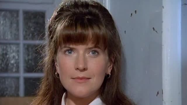 Watch Hamish MacBeth S01:E01 - The Great Lochdubh Salt Robbery - Free ...