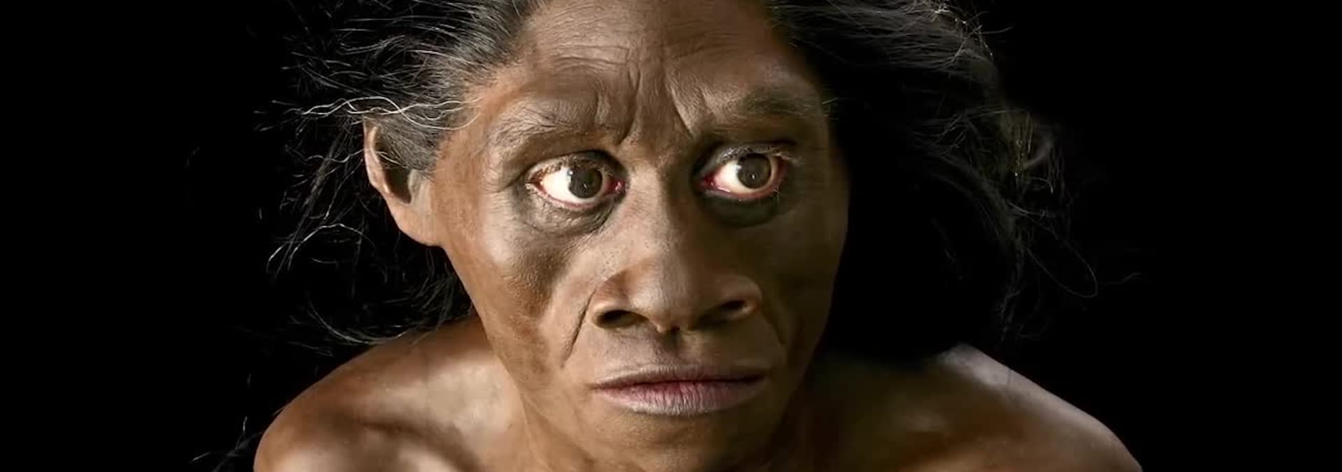 Watch Early Humans S01:E05 - Homo Floresiensis: The Real-Life Hobbit ...