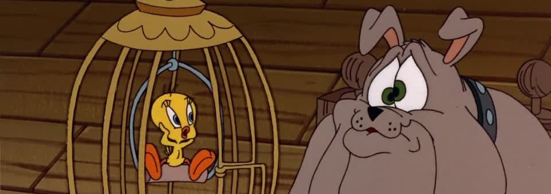 Watch The Sylvester & Tweety Mysteries S02:E03 - Don't Polka Me/The Granny Vanishes - Free TV ...