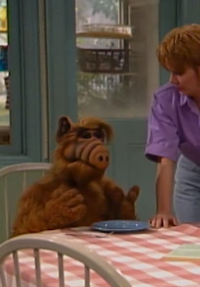Watch ALF on ALF S01:E02 - La Cucaracha - Free TV Shows | Tubi