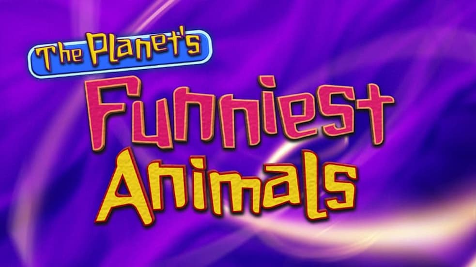 Watch The Planet's Funniest Animals Stream en línea | Tubi TV Gratis