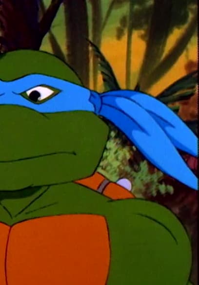 Watch Teenage Mutant Ninja Turtles S08:E08 - Turtle Trek - Free TV ...