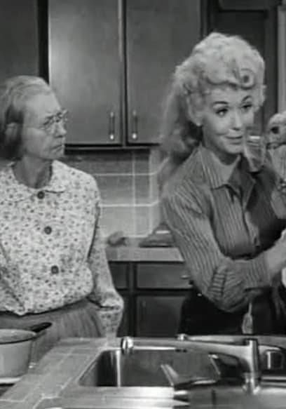 Watch The Beverly Hillbillies S02:E10 - Turkey Day - Free TV Shows | Tubi