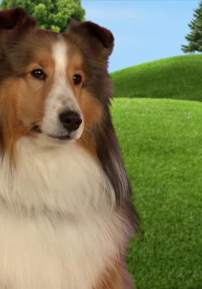 Watch Mickey's Farm S02:E232 - Rooster - Free TV Shows | Tubi