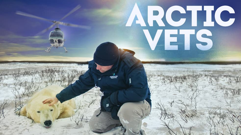 Watch Arctic Vets Stream en ligne | Tubi TV Gratuit