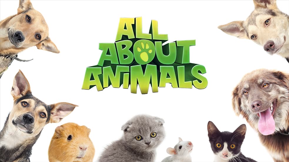 Watch All About Animals Streaming Online | Tubi Free TV