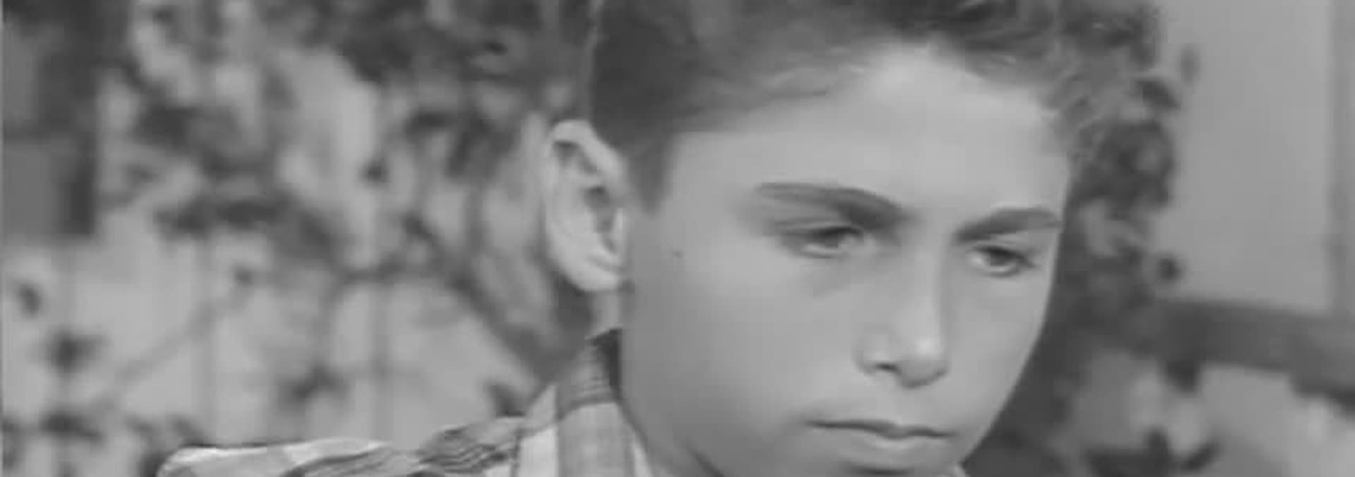 Watch Fury S01:E18 - The Boy Scout Story - Free TV Shows | Tubi