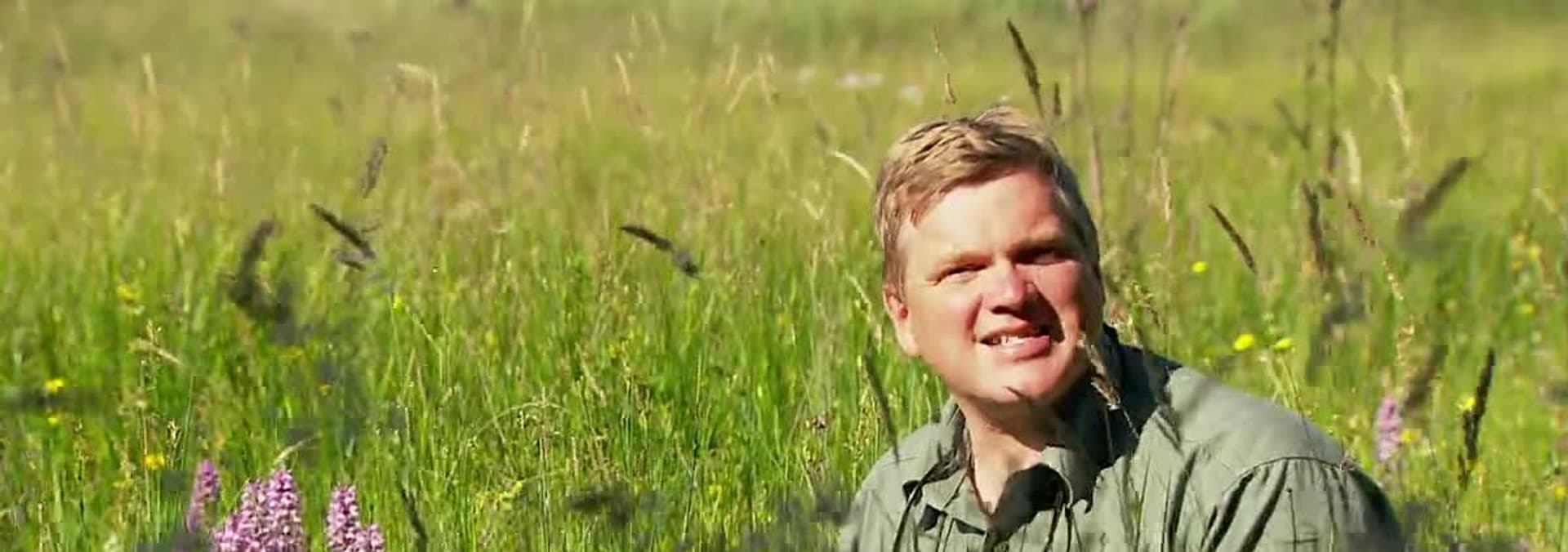 Watch Wild Britain With Ray Mears S02:E04 - Lowland River: Norfolk ...