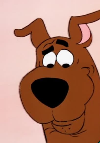 Watch Scooby's All-Star Laff-A-Lympics S01:E12 - Grand Canyon/Ireland ...