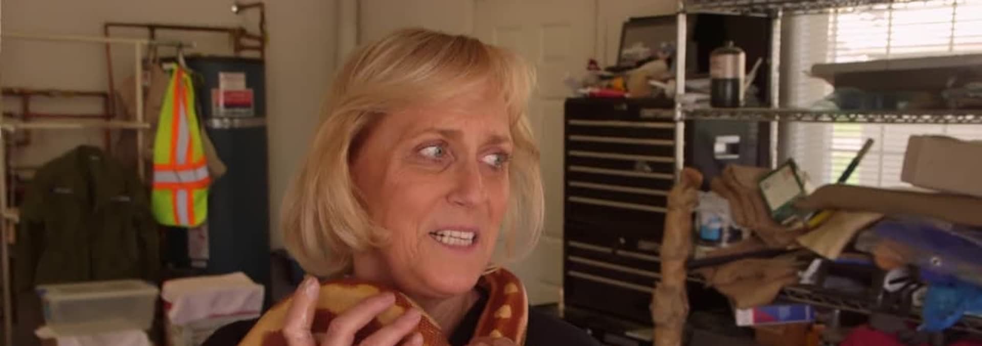 Watch Dr. Dee: Alaska Vet S02:E10 - 40 Snakes and Counting - Free TV ...