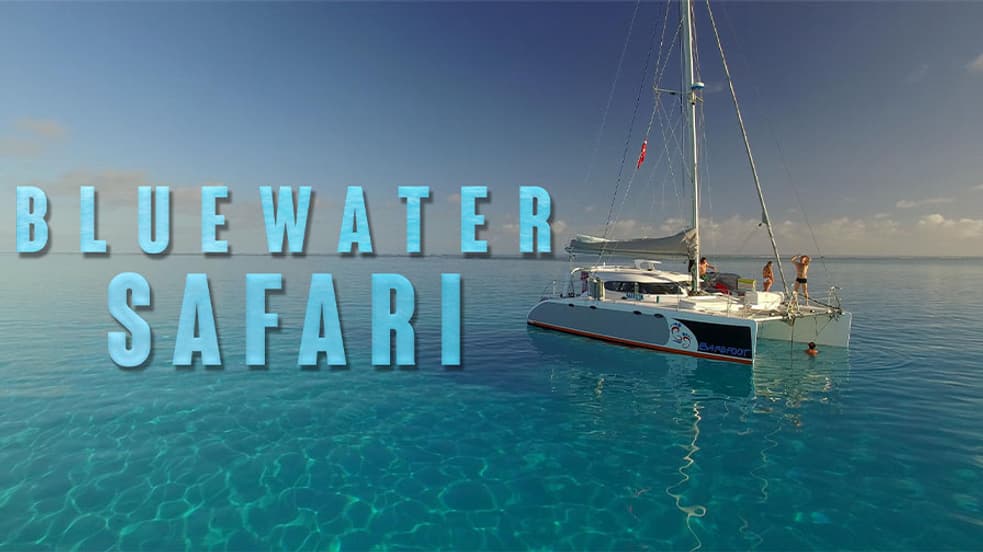 Watch Bluewater Safari Streaming Online | Tubi Free TV