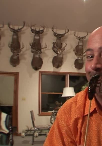 Watch Bizarre Foods With Andrew Zimmern S01:E10 - New York City - Free ...