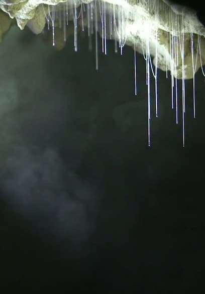 Watch Legendary Locations S01:E10 - Secrets in Stone - Free TV Shows | Tubi