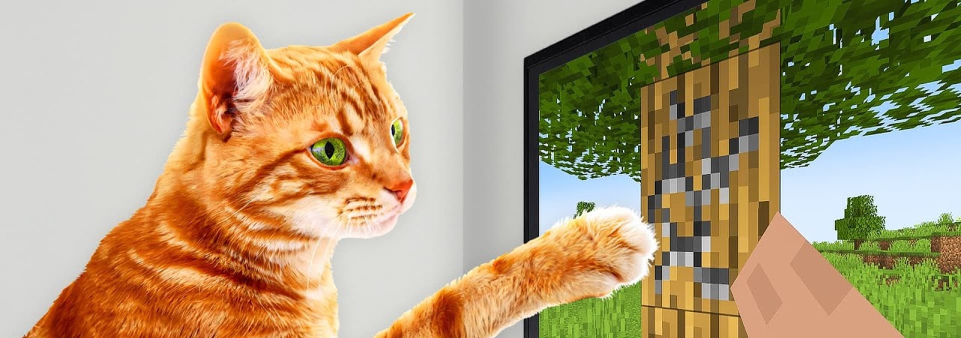 Watch Minecraft with EYstreem S03:E08 - Cats Beat Minecraft - Free TV ...