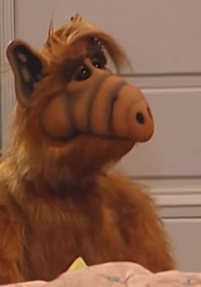Watch ALF on ALF S01:E04 - Some Enchanted Evening - Free TV Shows | Tubi