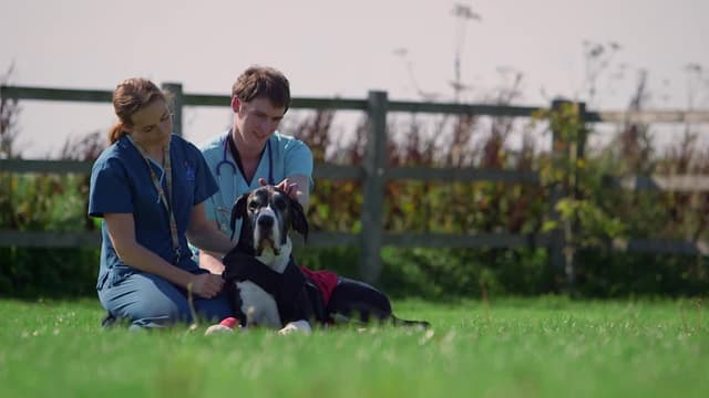Watch The Supervet S03:E07 - Star, Ollie, and Zak - Free TV Shows | Tubi