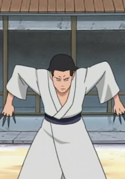 Watch Naruto (Subtitled) S03:E44 - The Search for the Rare Bikochu ...