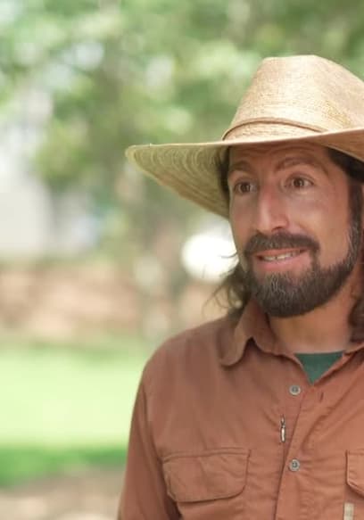 Watch This Old House S44:E04 - Atlanta Postmaster's House: Cardboard ...