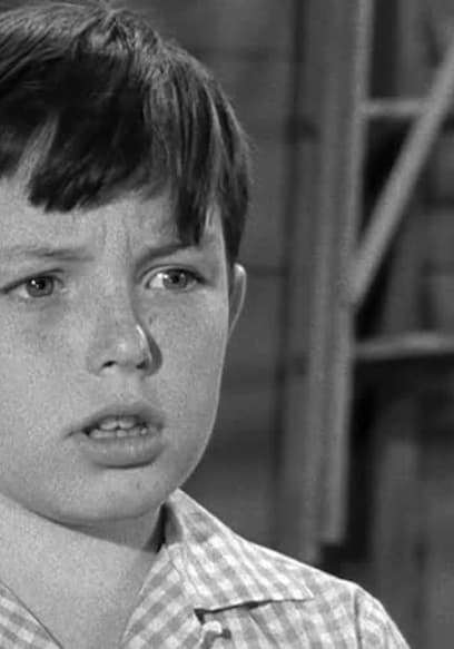 Watch Leave It to Beaver S02:E29 - Beaver Says Goodbye - Free TV Shows ...