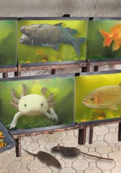 Watch Bass Fishing Productions S04:E01 - I Saved Animals From an ...