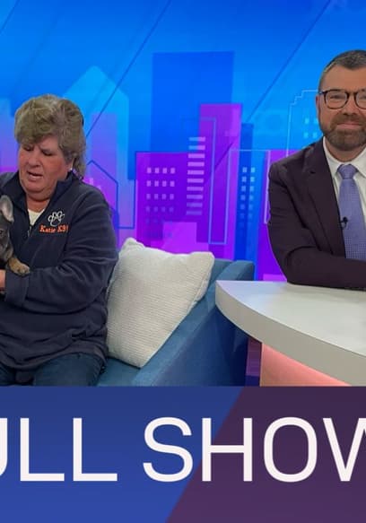 Watch The Jason Show S10:E92 - Katie K9 Shares Tips and Tricks for ...