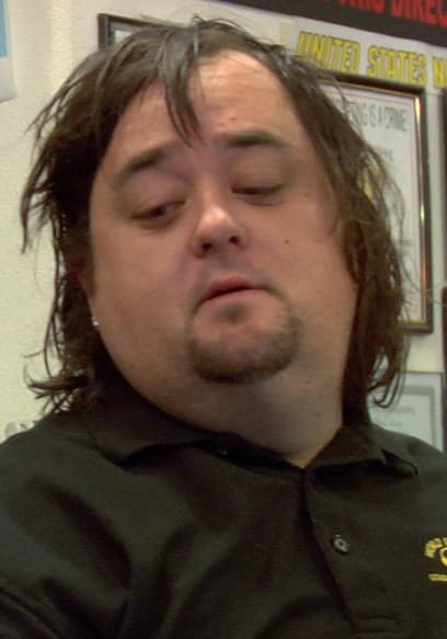 Watch Pawn Stars S05:E23 - Bear-Ly There - Free TV Shows | Tubi