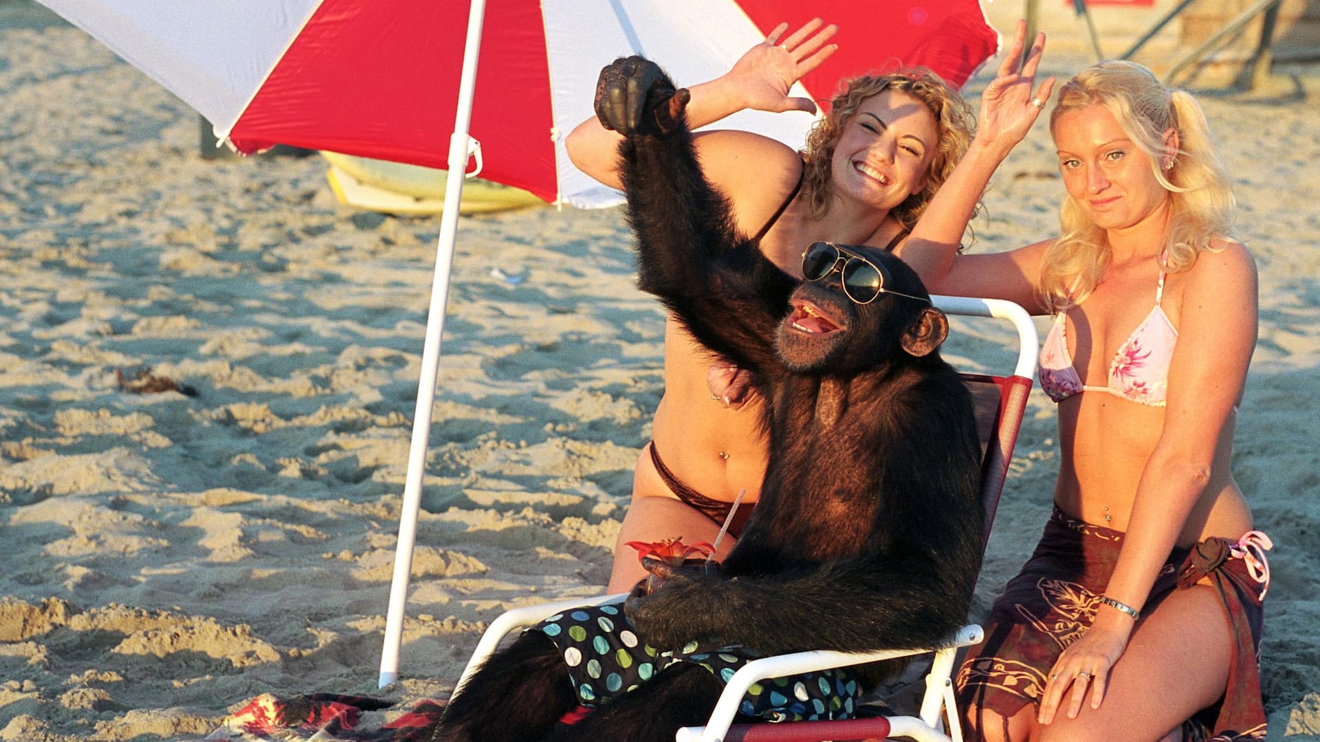 Watch Funky Monkey (2004) - Free Movies | Tubi