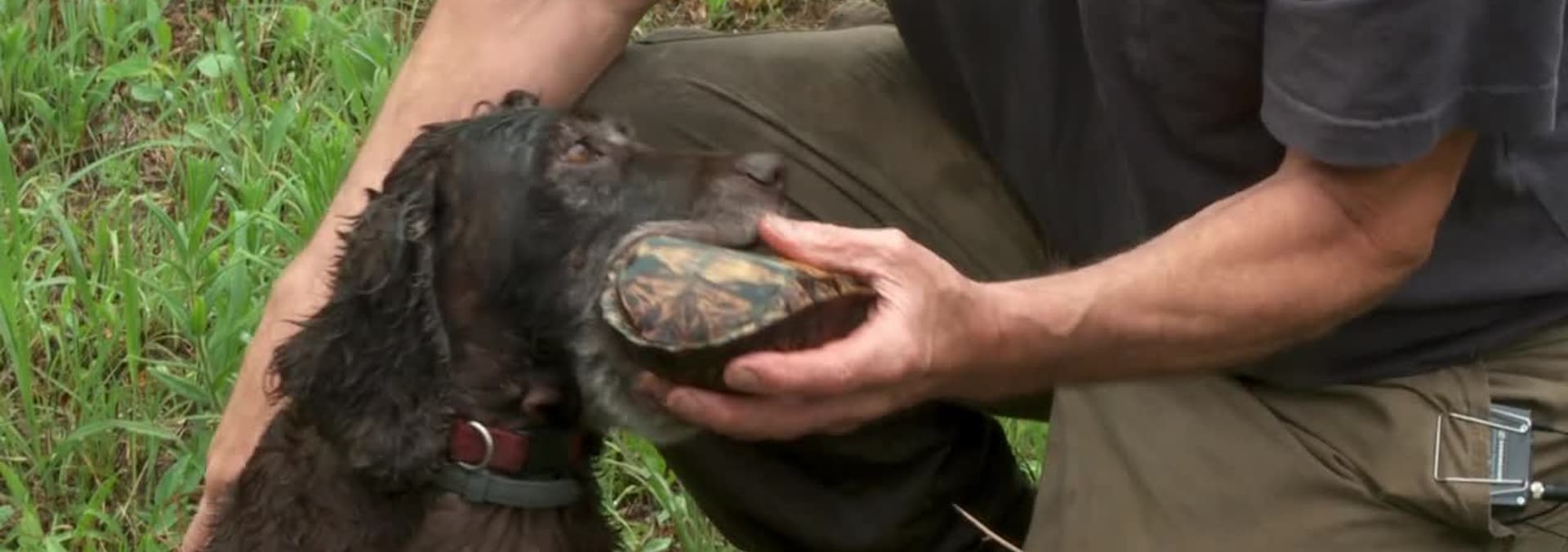 Watch Wardens S08:E08 - Westside Fishing - Free TV Shows | Tubi