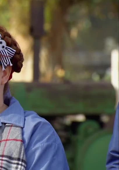 Watch Halloween Wars S07:E103 - Hayride of Horror: Zoo - Free TV Shows ...