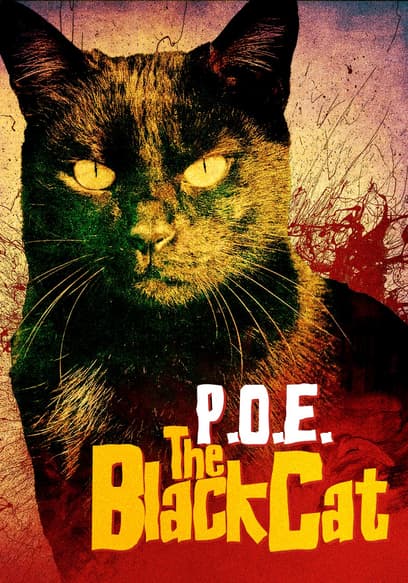 Watch POE: The Black Cat (2017) - Free Movies | Tubi
