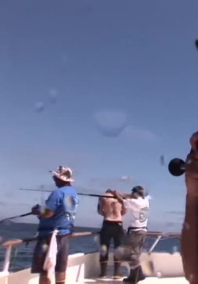 Watch Inside Sportfishing S03:E17 - Wide Open Yellowtail Onboard the Fv Shogun: Desperation Reef ...