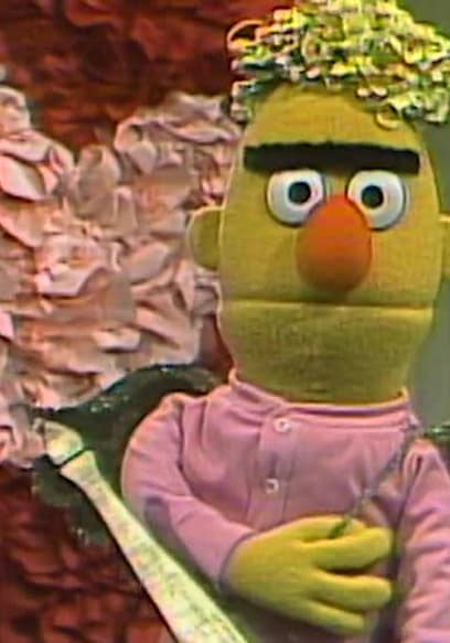 Watch Sesame Street S15:E04 - Goodbye, Mr. Hooper - Free TV Shows | Tubi