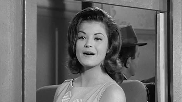 Watch Petticoat Junction S01:E20 - Last Chance Farm - Free TV Shows | Tubi